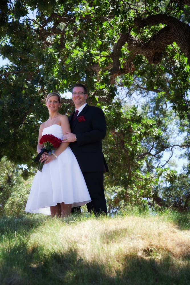 Lisa Carmel Photography