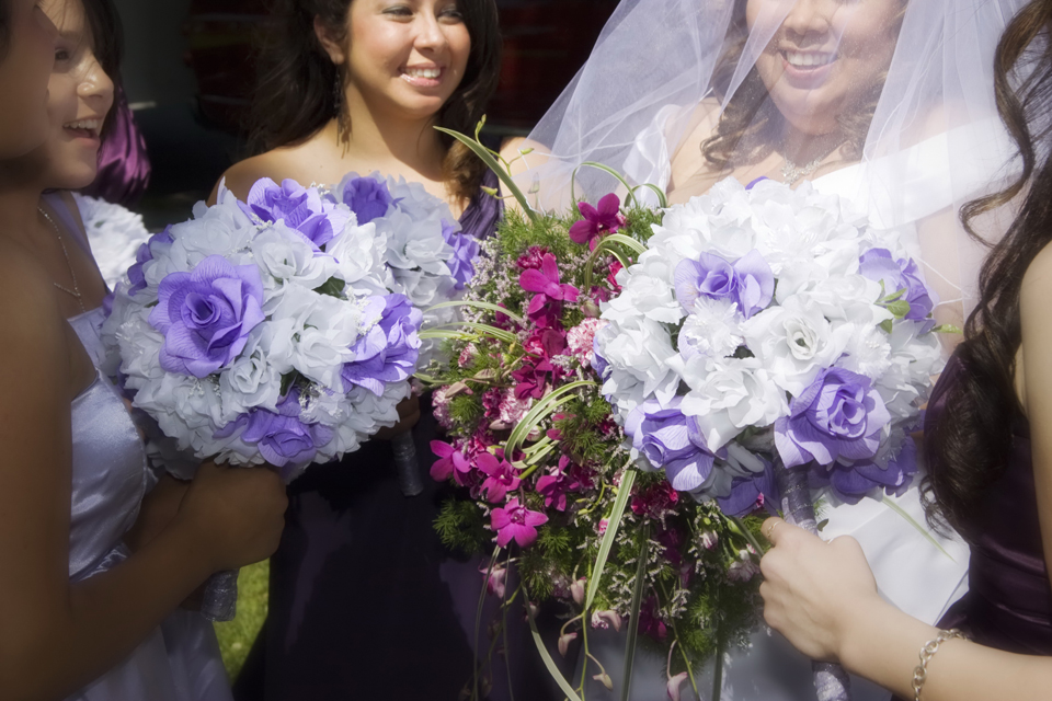 Wedding Album 4 | Lisa Carmel Photography