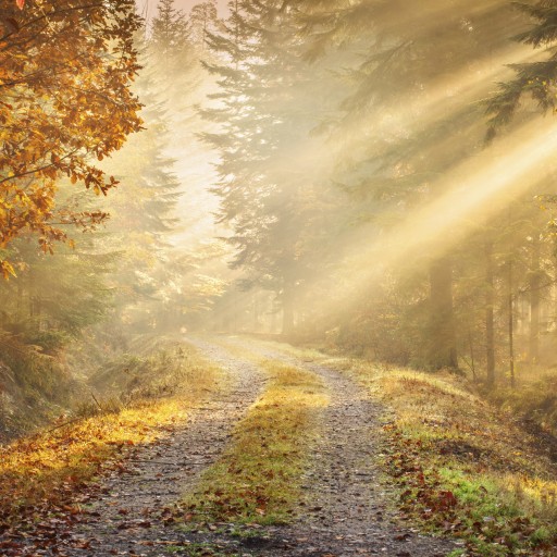 cropped-Landscapes_028.jpg | Lisa Carmel Photography